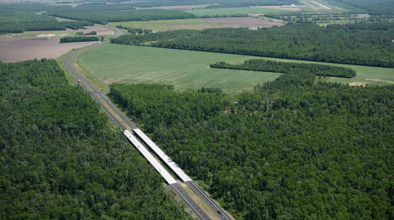 US Route 17 Improvements - Timmons Group