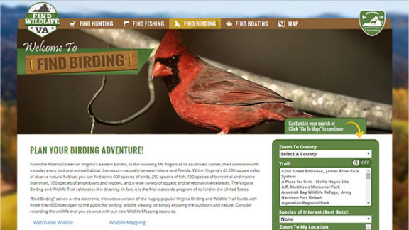 VDGIF - Timmons Group