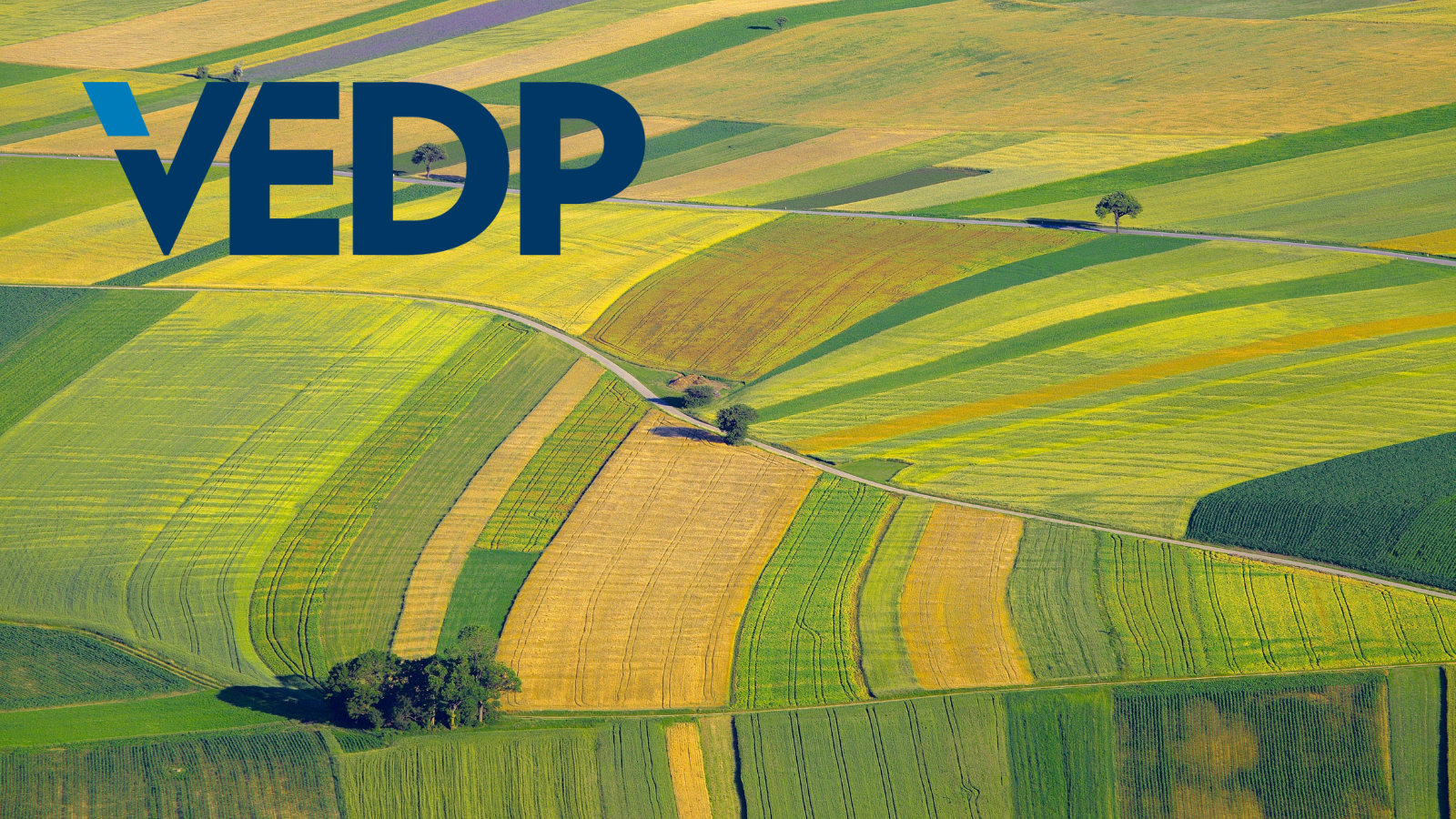 VEDP Mega-Site Identification Study (Confidential Study) - Timmons Group