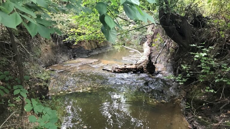 Fleets Branch Stream Restoration - Timmons Group