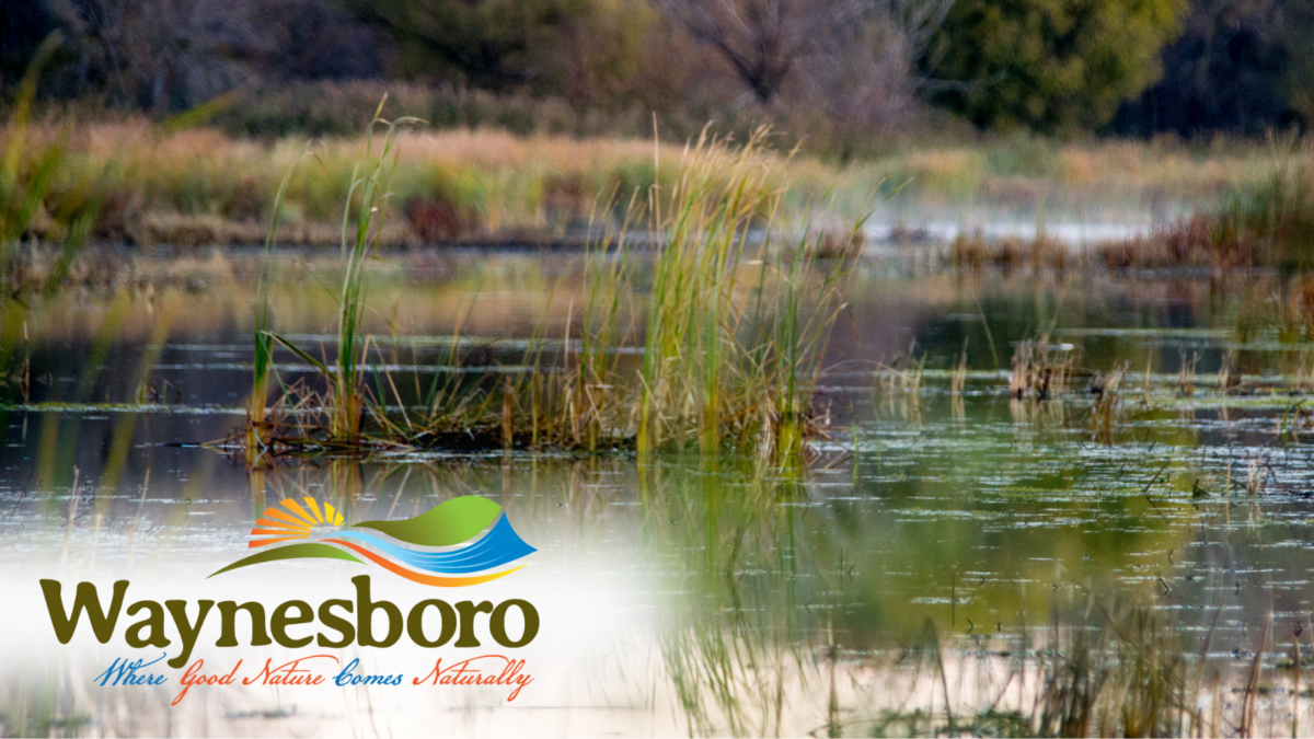 City of Waynesboro — Detention Basin to Wetland Construction - Timmons ...